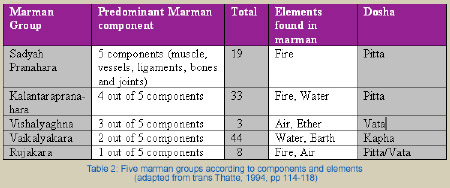 About Marman | Mark Phillips Acupuncture